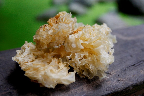 מרק מתוק וקר מפטריית YIN ER - TEF